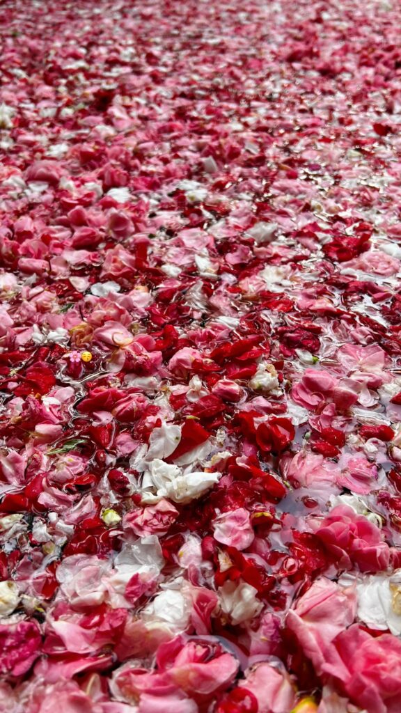 Flower Pool Experience at hu’u Villa